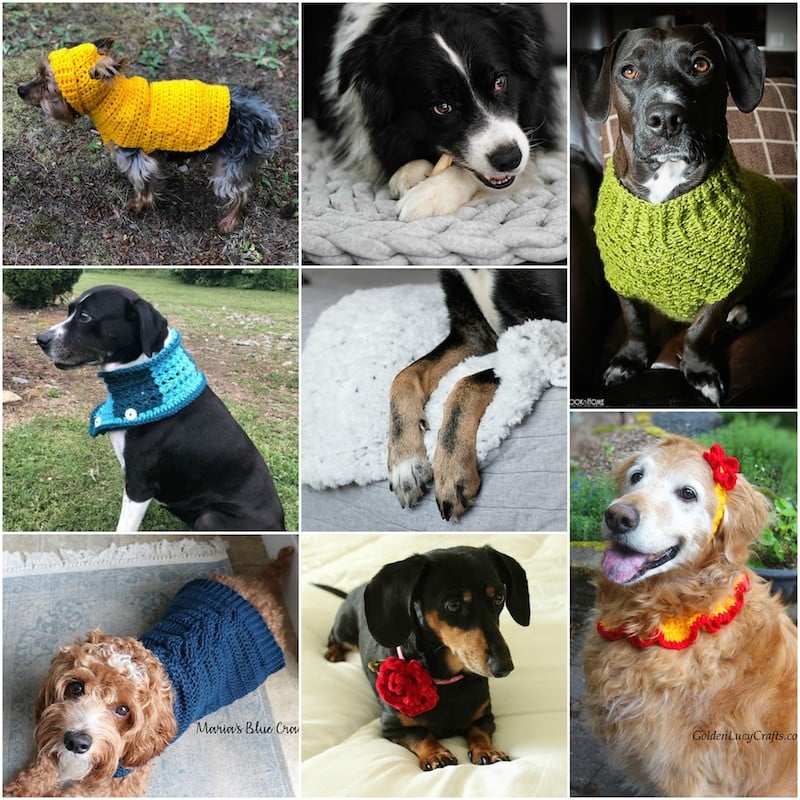 17+ Handmade Gift Ideas for Pets - Underground Crafter