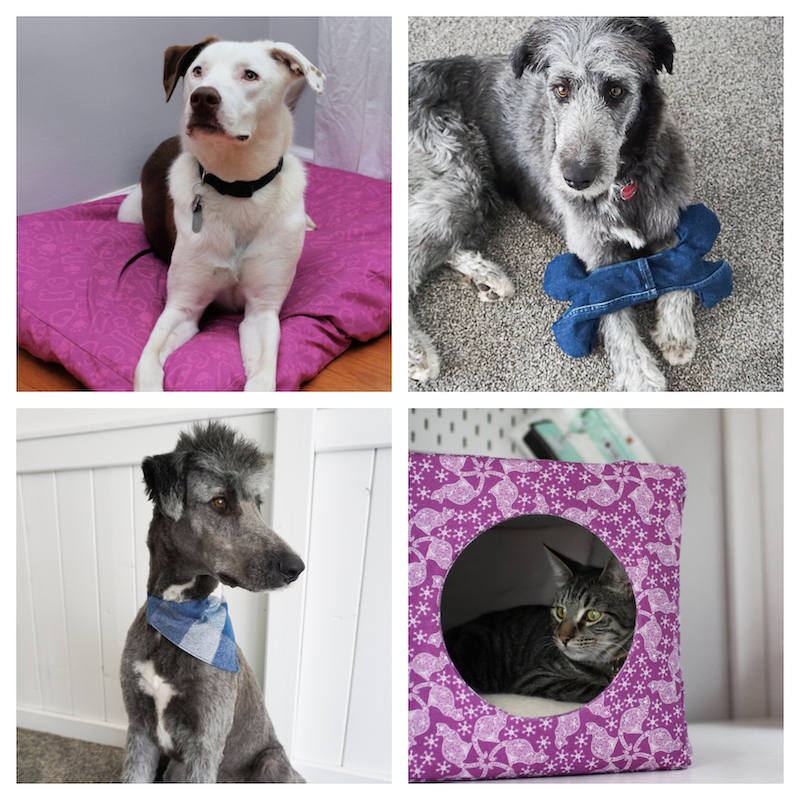 18+ Handmade Gift Ideas for Pets - Underground Crafter